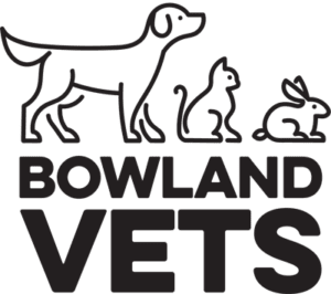 Meet The Team - Bowland Vets